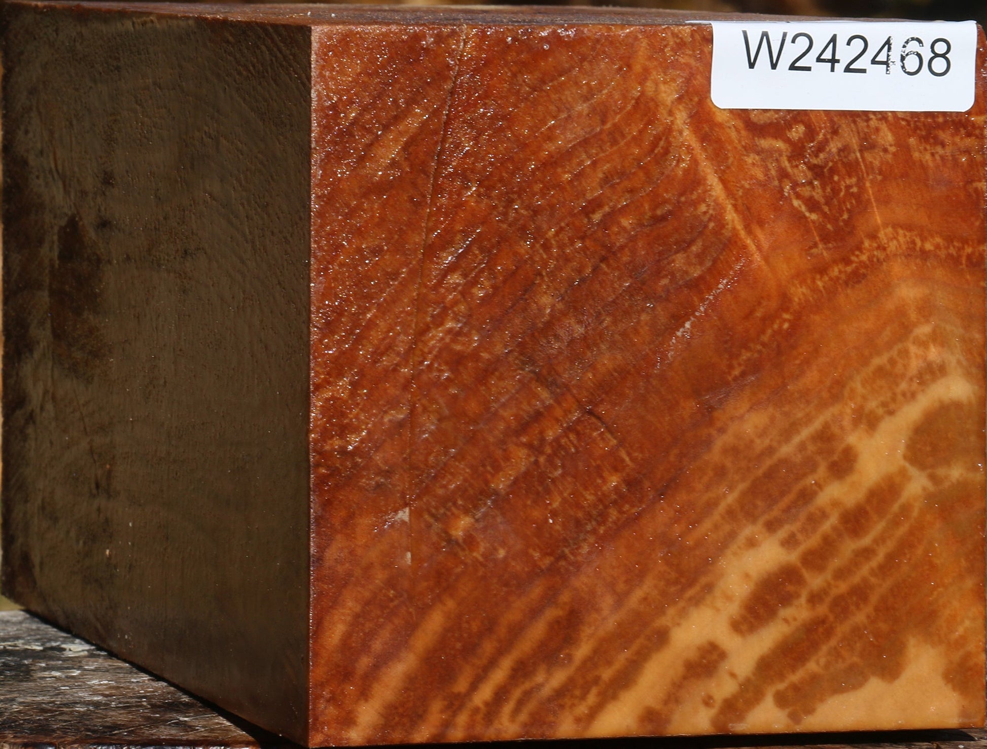 Spalted Maple Vessel Blank – Cook Woods