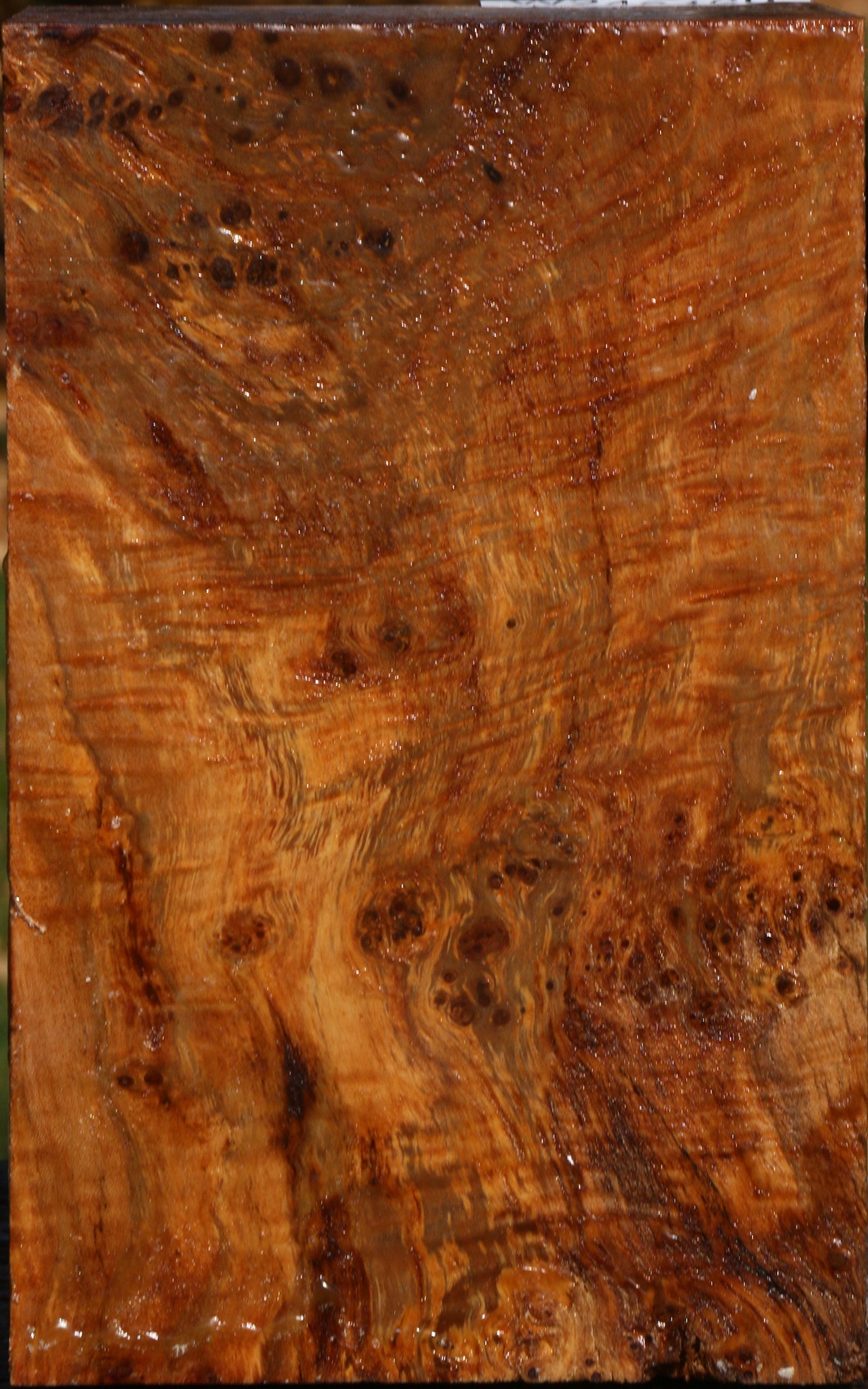 Maple Burl Vessel Blank – Cook Woods