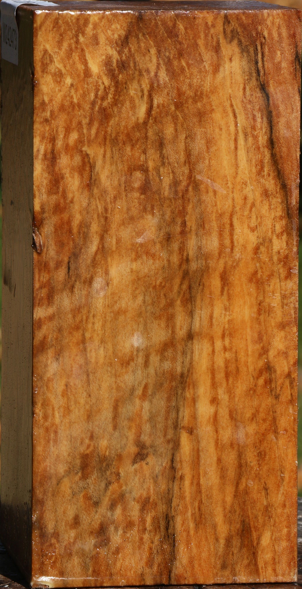 Spalted Maple Vessel Blank – Cook Woods