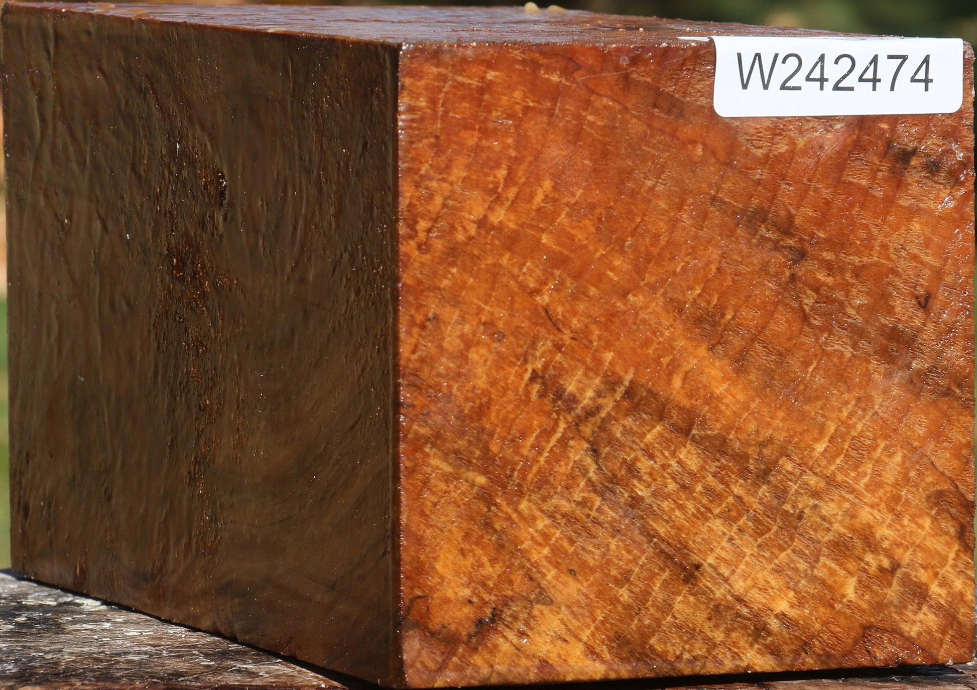 Extra Fancy Spalted Maple Vessel Blank – Cook Woods