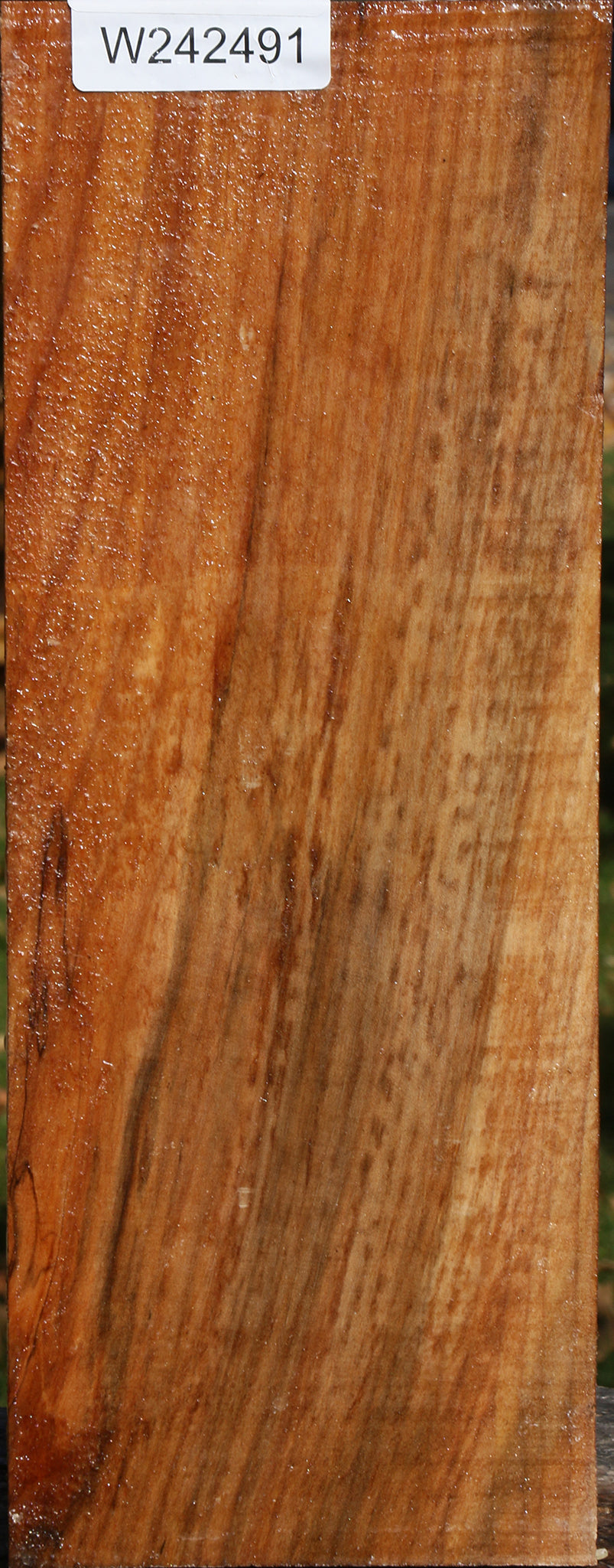 Maple Vessel Blank – Cook Woods