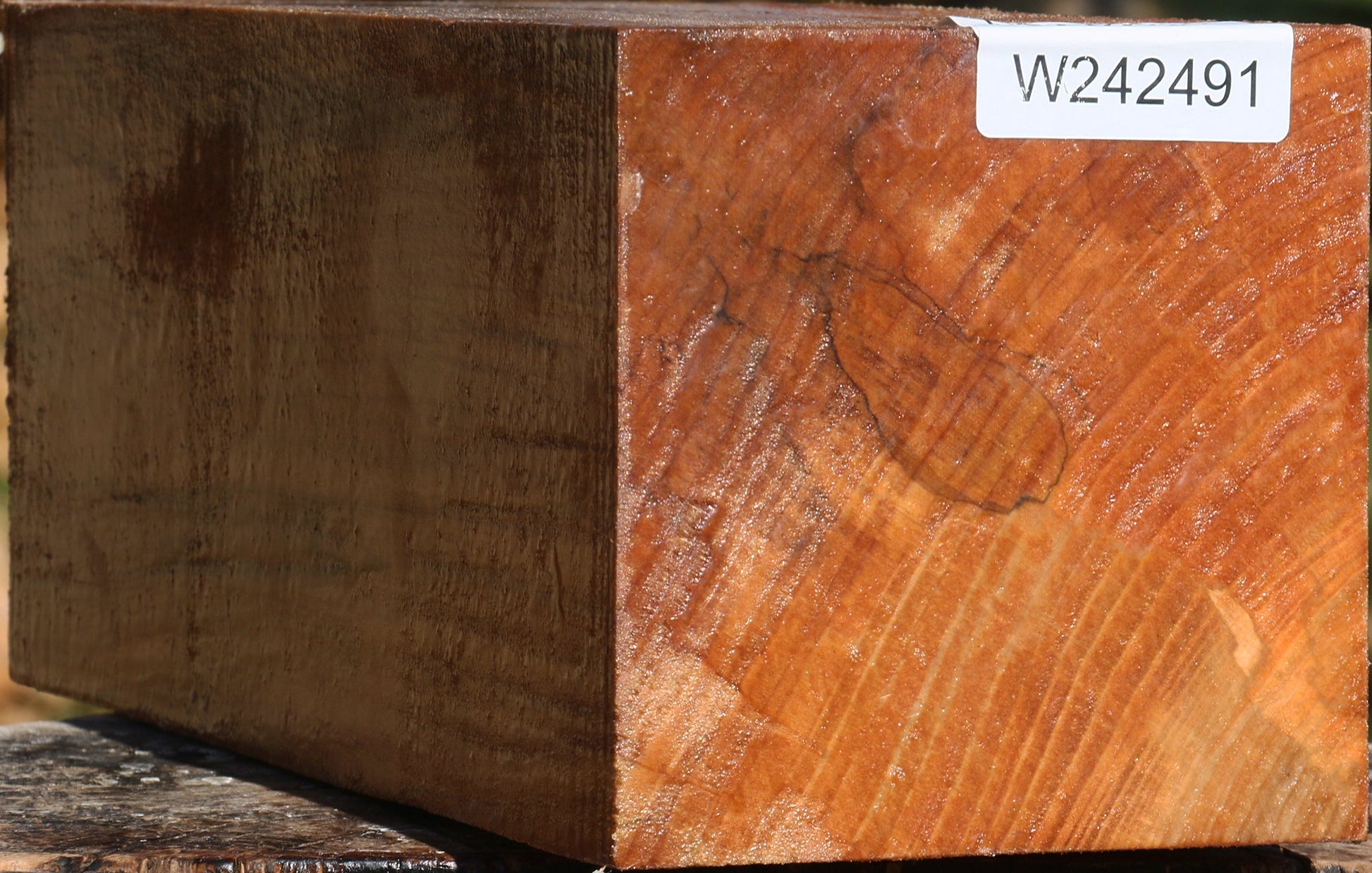 Maple Vessel Blank – Cook Woods