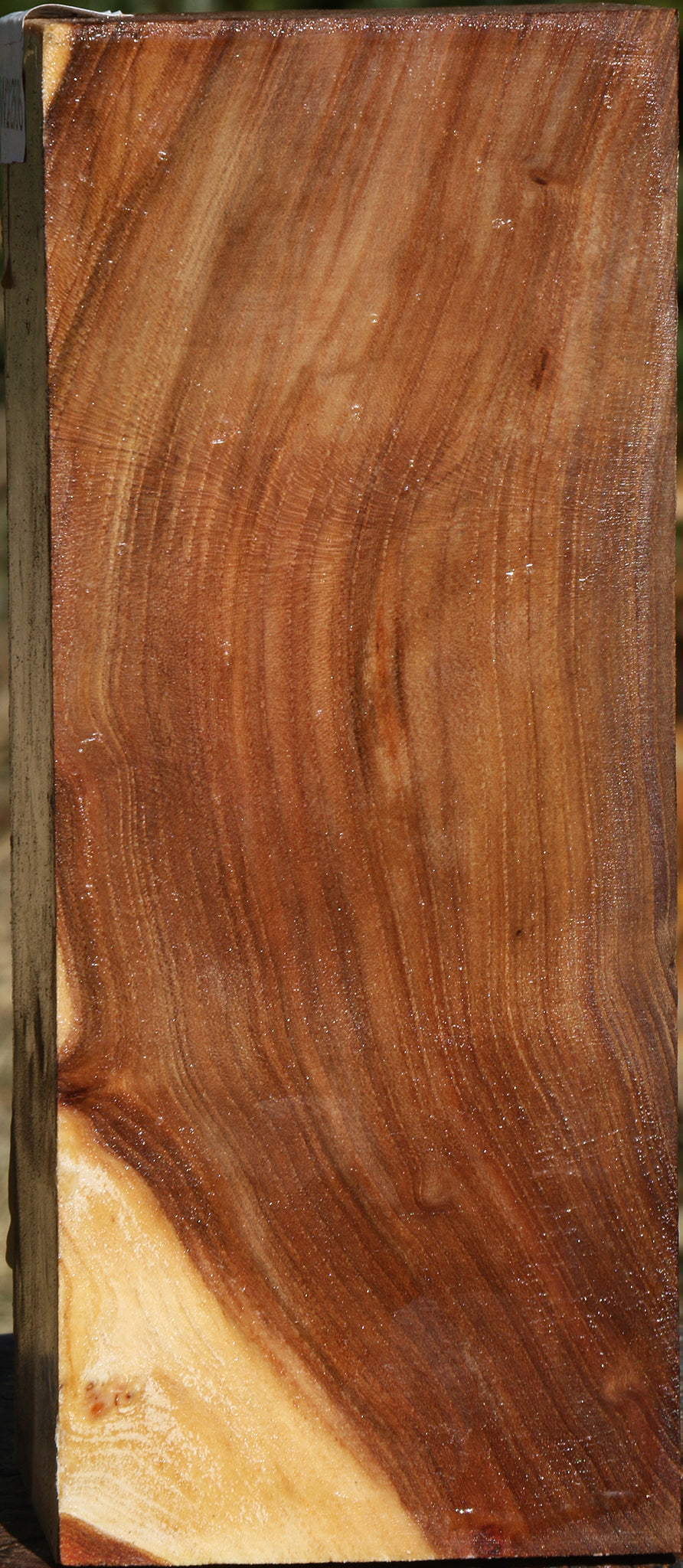 Figured Elm Vessel Blank – Cook Woods