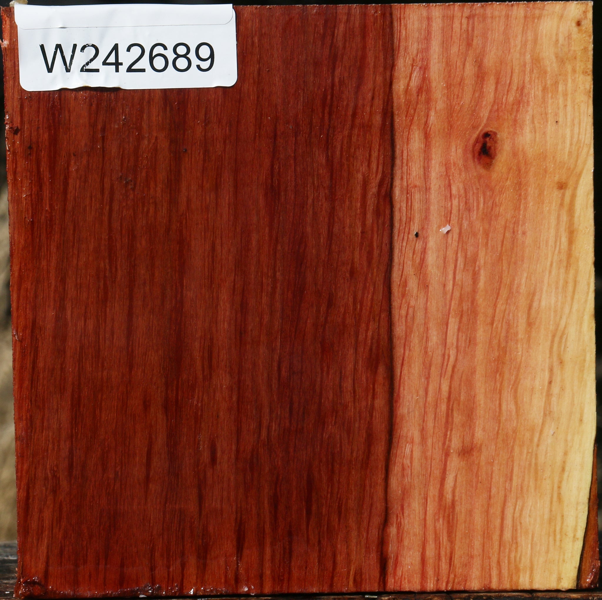 Beefwood Bowl Blank – Cook Woods