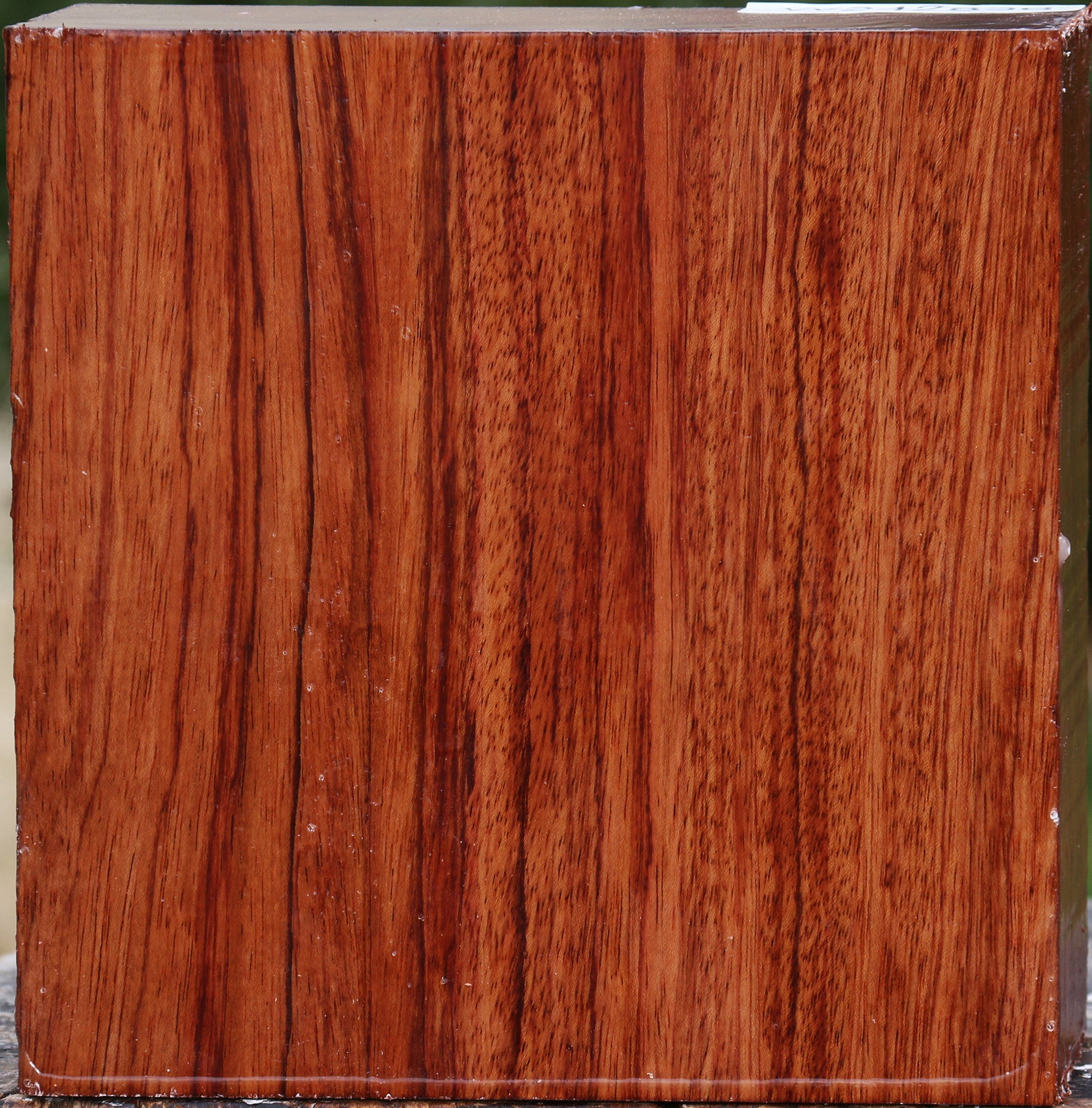 Bubinga – Cook Woods