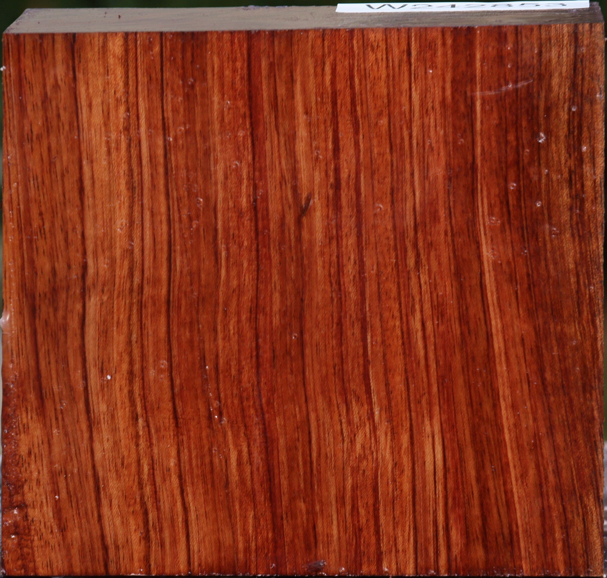 Bubinga Bowl Blank – Cook Woods