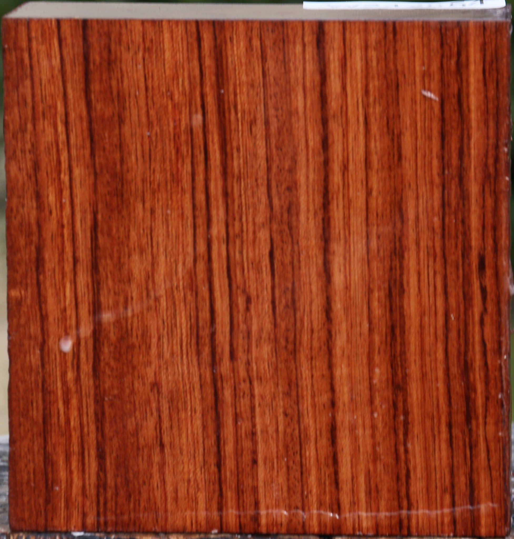 Bubinga Bowl Blank – Cook Woods