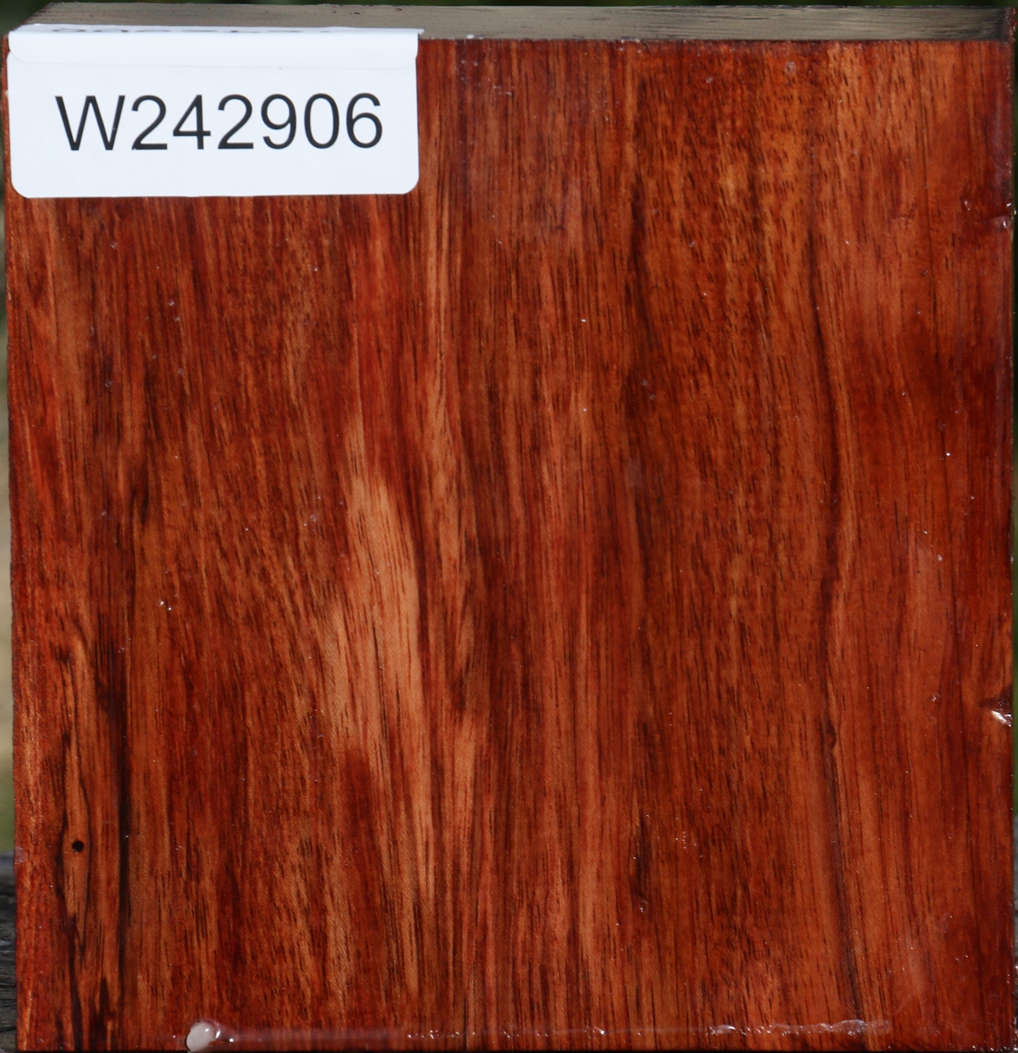 Bubinga Bowl Blank – Cook Woods