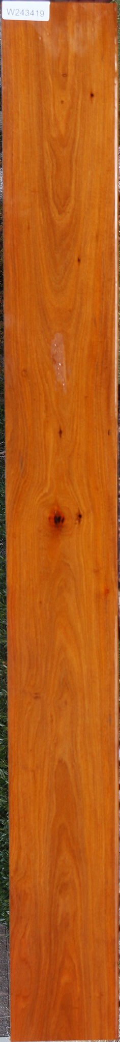 Pernambuco – Cook Woods