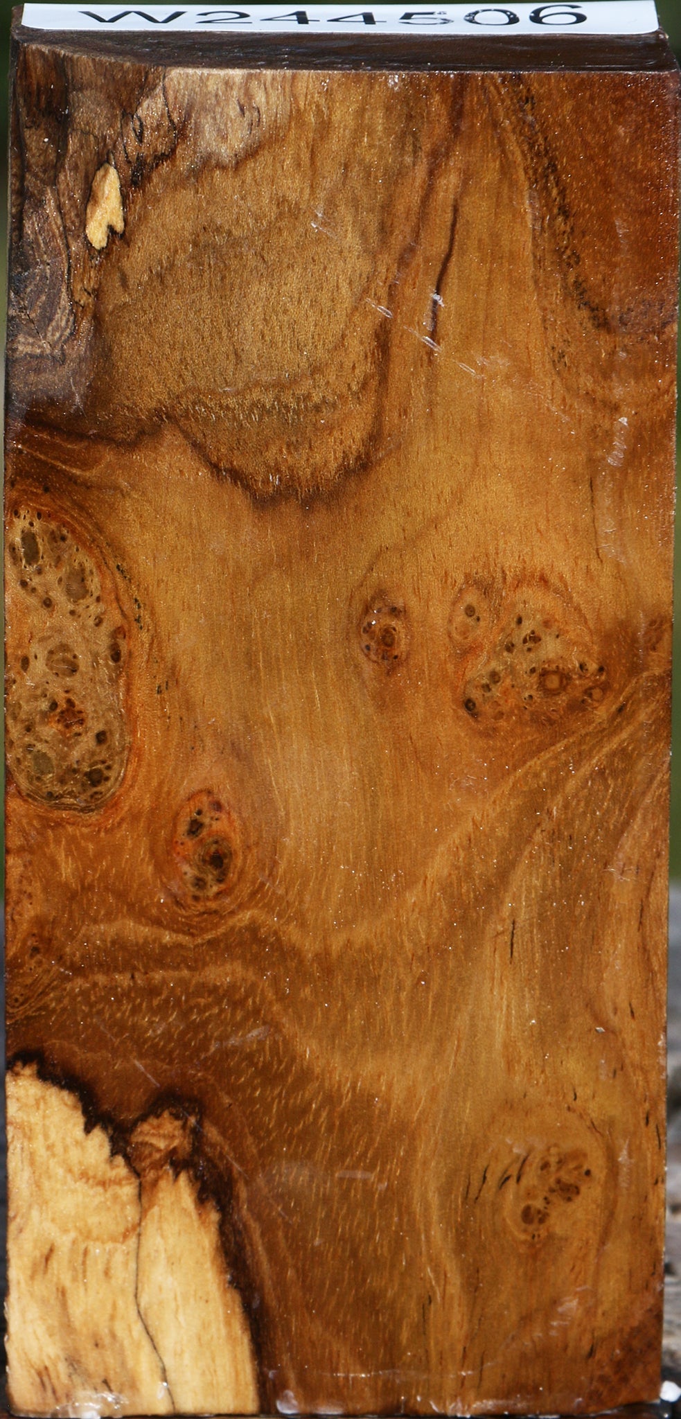 Teak Burl Turning Blank – Cook Woods
