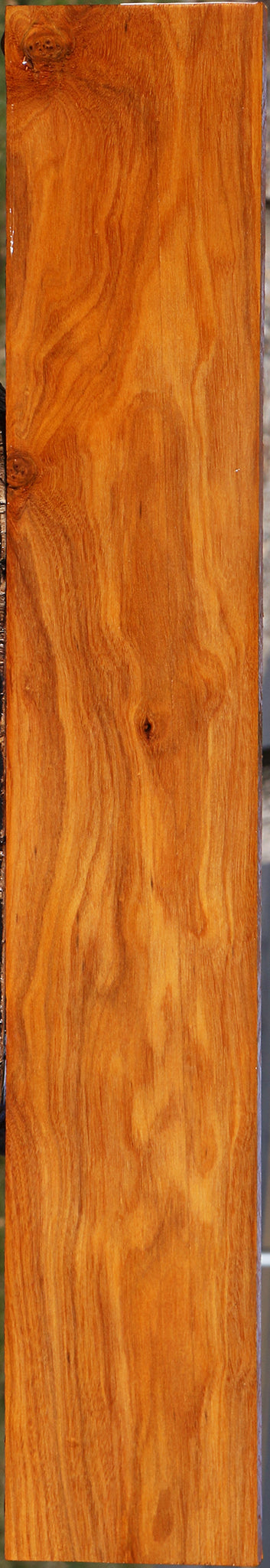 Pernambuco – Cook Woods