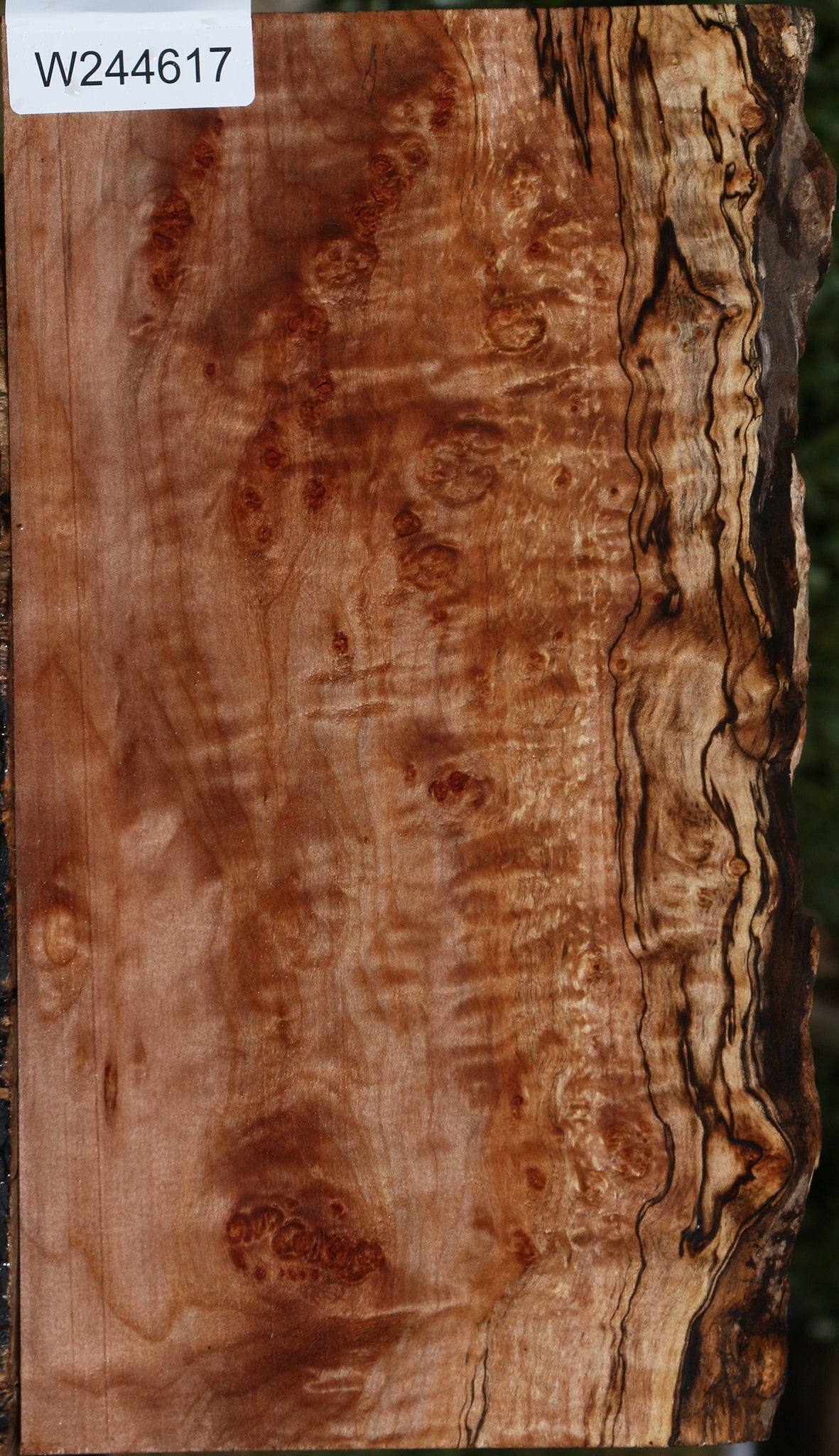 Extra Fancy Maple Live Edge Lumber – Cook Woods