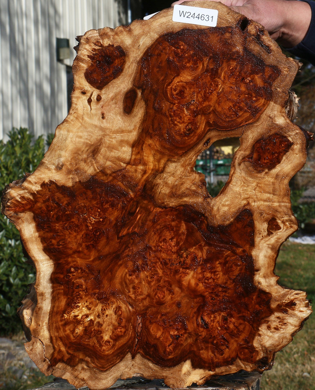 Exotic Woods & Hardwoods of the World | Cook Woods