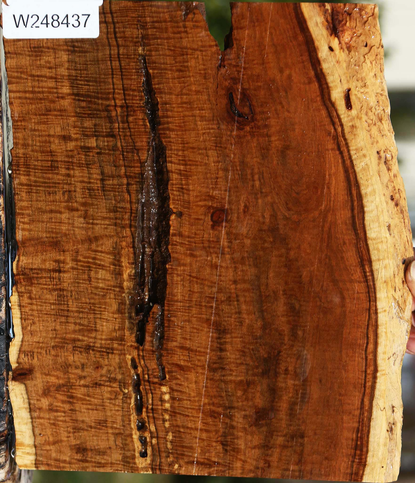 Extra Fancy Tamboti Live Edge Micro Lumber – Cook Woods