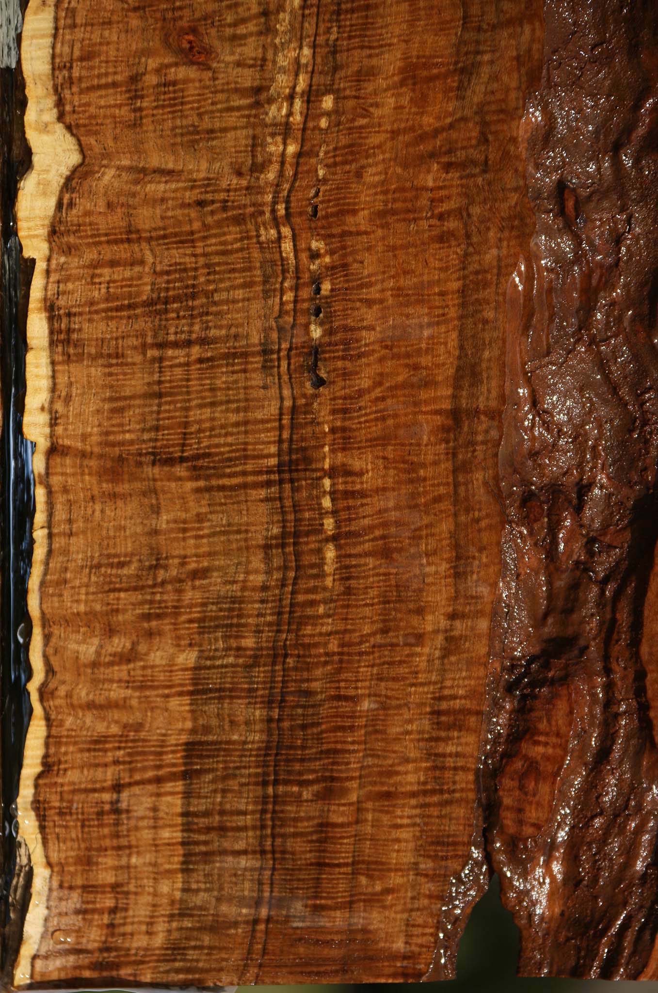 Extra Fancy Tamboti Live Edge Micro Lumber – Cook Woods
