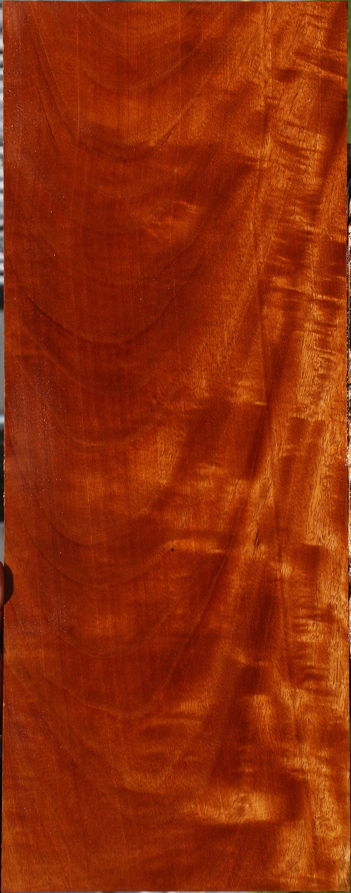 Mahogany – Cook Woods
