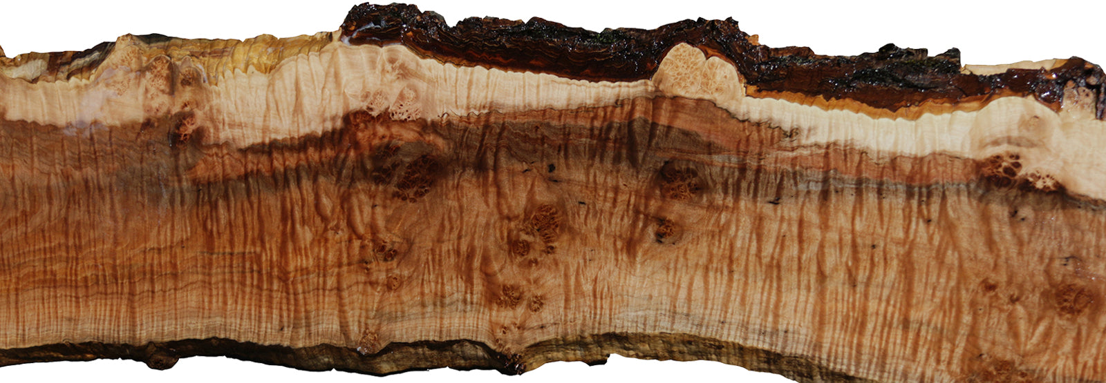 Exotic Woods & Hardwoods of the World | Cook Woods