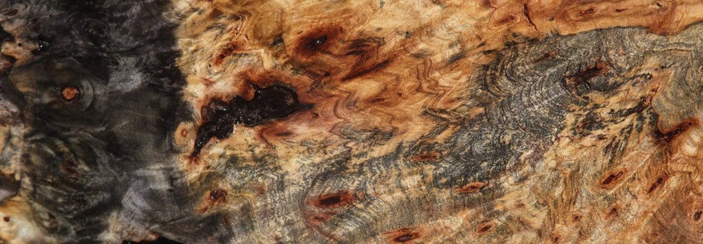 Wood by species – Cook Woods