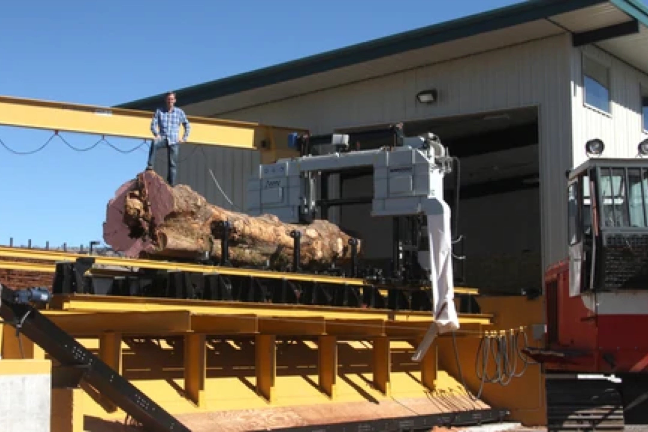 About Cookwoods – Cook Woods