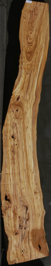 Olive – Cook Woods