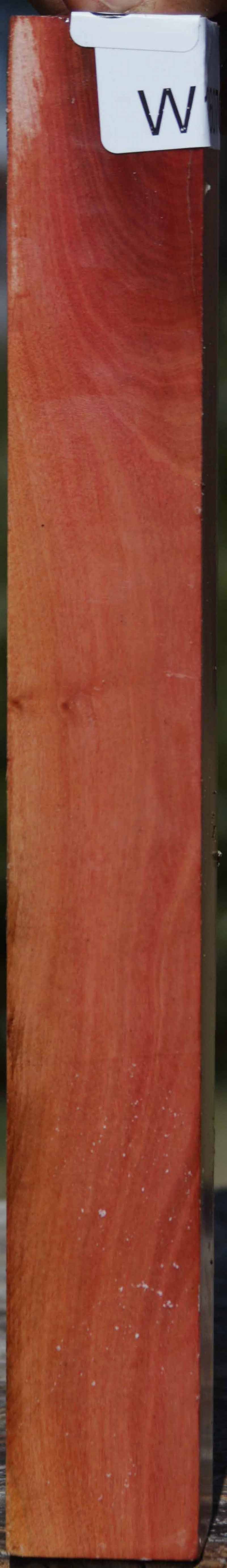 Pink Ivory Turning Square – Cook Woods