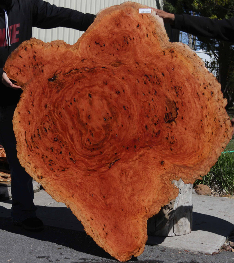 Red Gum – Cook Woods