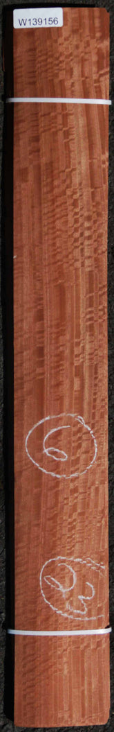 Red Gum – Cook Woods