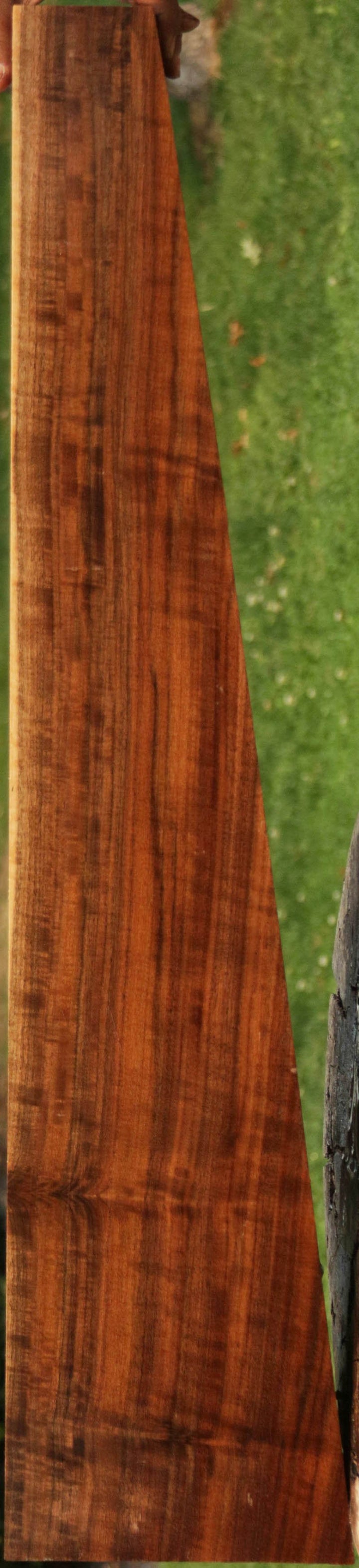 Gun Blanks – Cook Woods