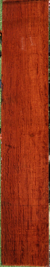 Bubinga – Cook Woods