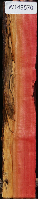 Pink Ivory – Cook Woods