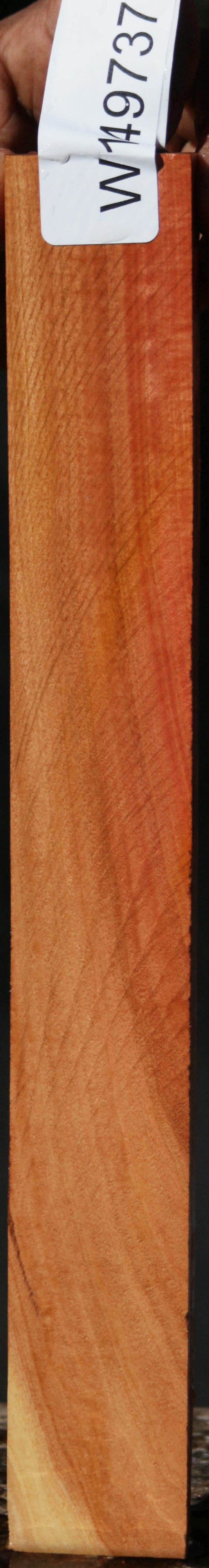 Lumber & Slabs – Cook Woods