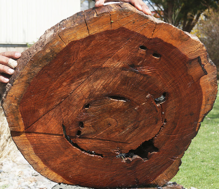 Clearance – Cook Woods