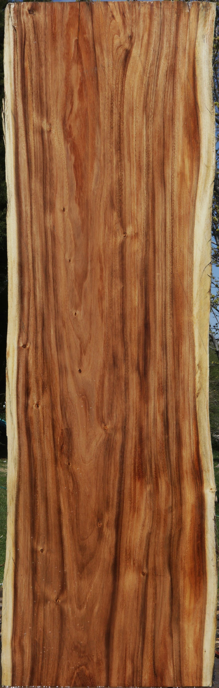 Monkeypod – Cook Woods