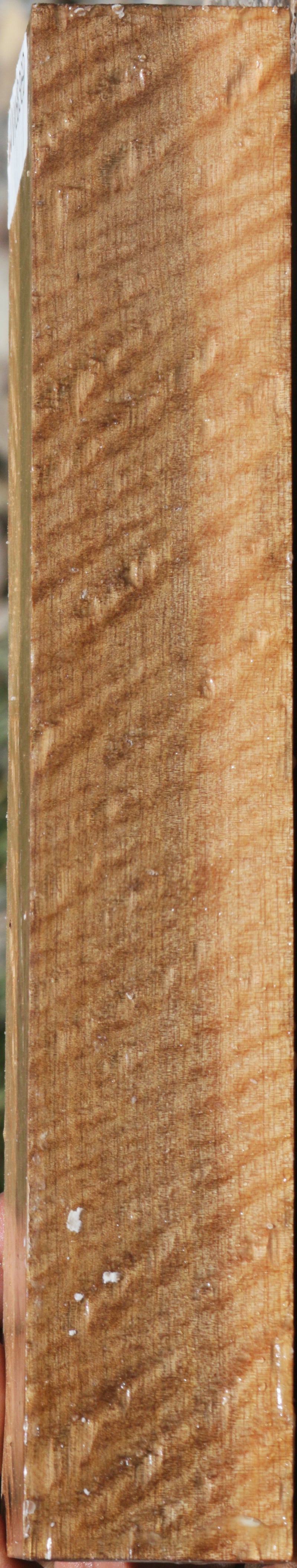 Exhibition Curly Pyinma Lumber – Cook Woods
