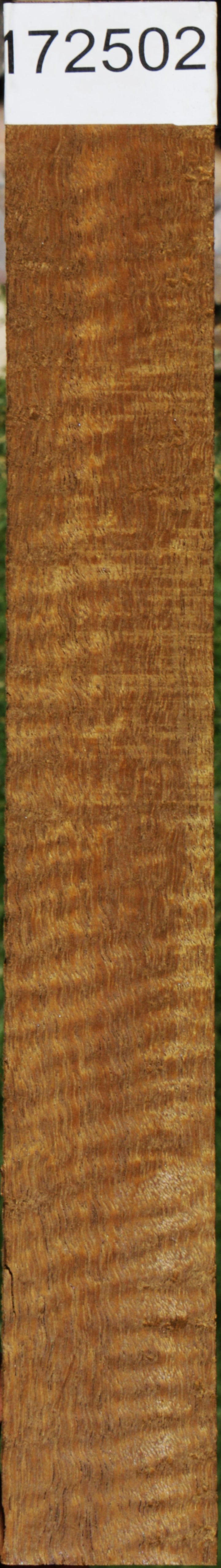 Clearance – Cook Woods