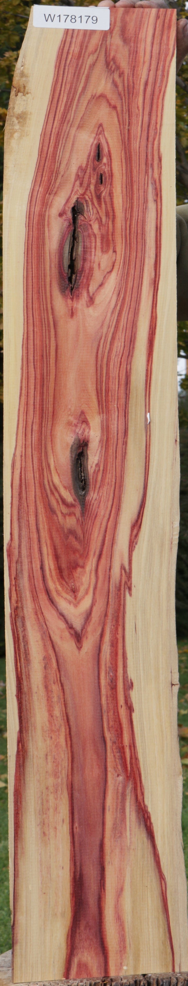 Rustic Live Edge Tulipwood Lumber – Cook Woods