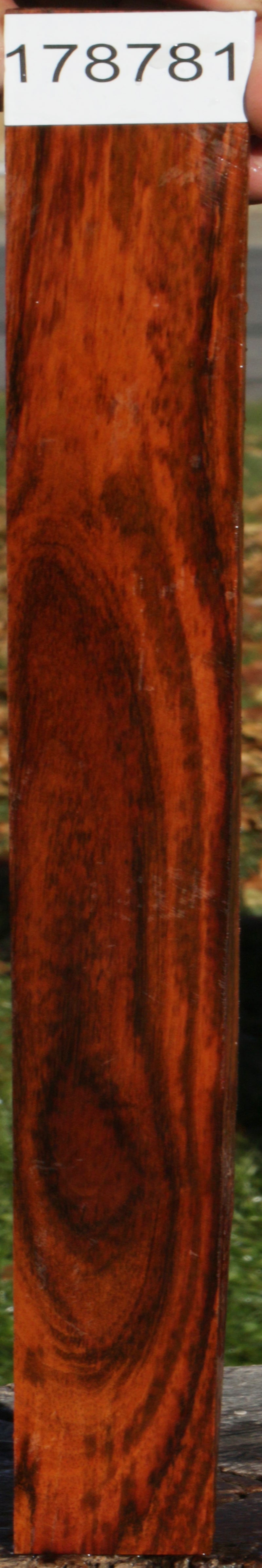 Snakewood – Cook Woods