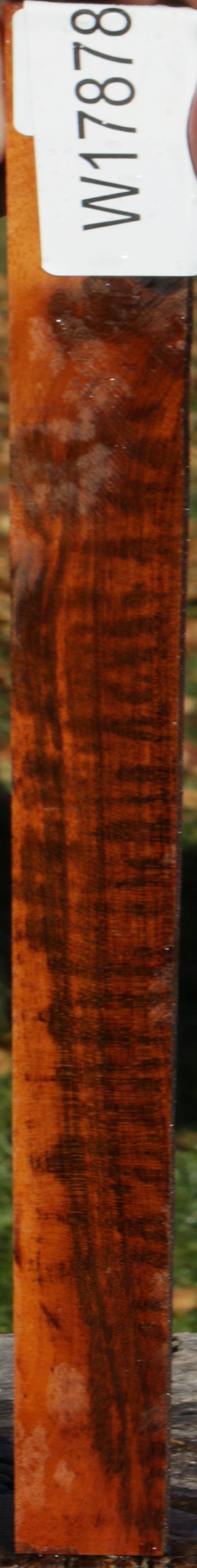 Snakewood – Cook Woods