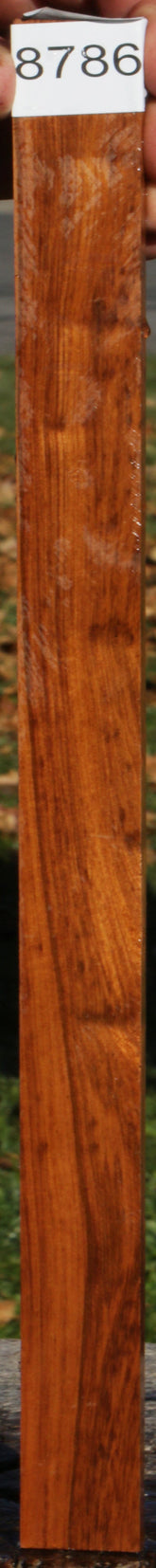 Snakewood – Cook Woods