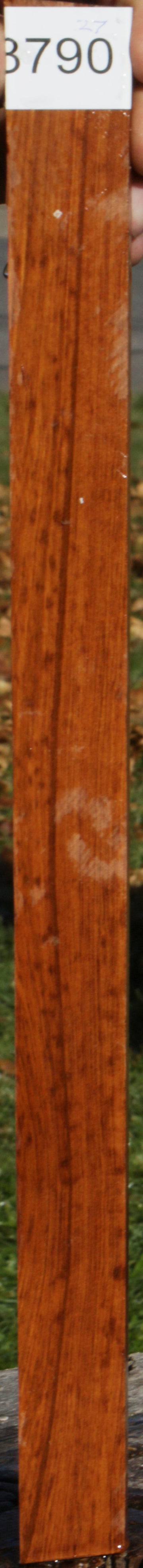 Snakewood – Cook Woods