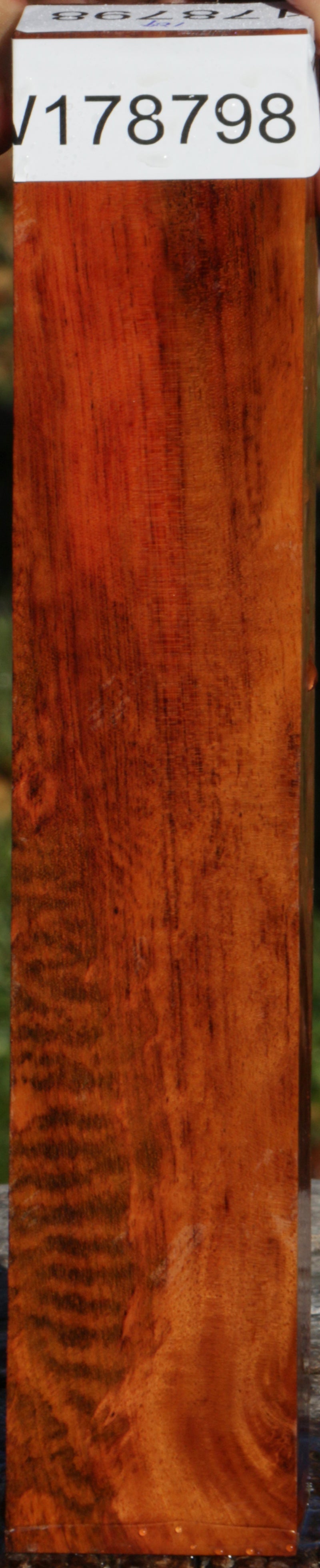 Snakewood – Cook Woods