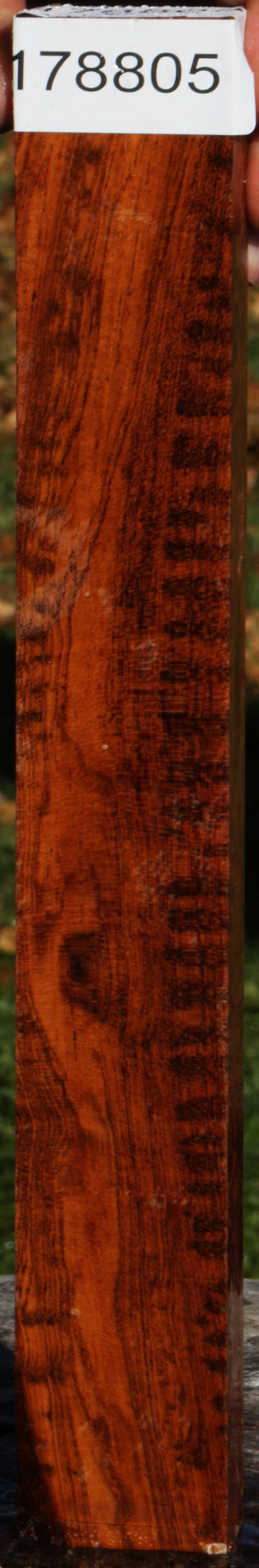 Snakewood – Cook Woods