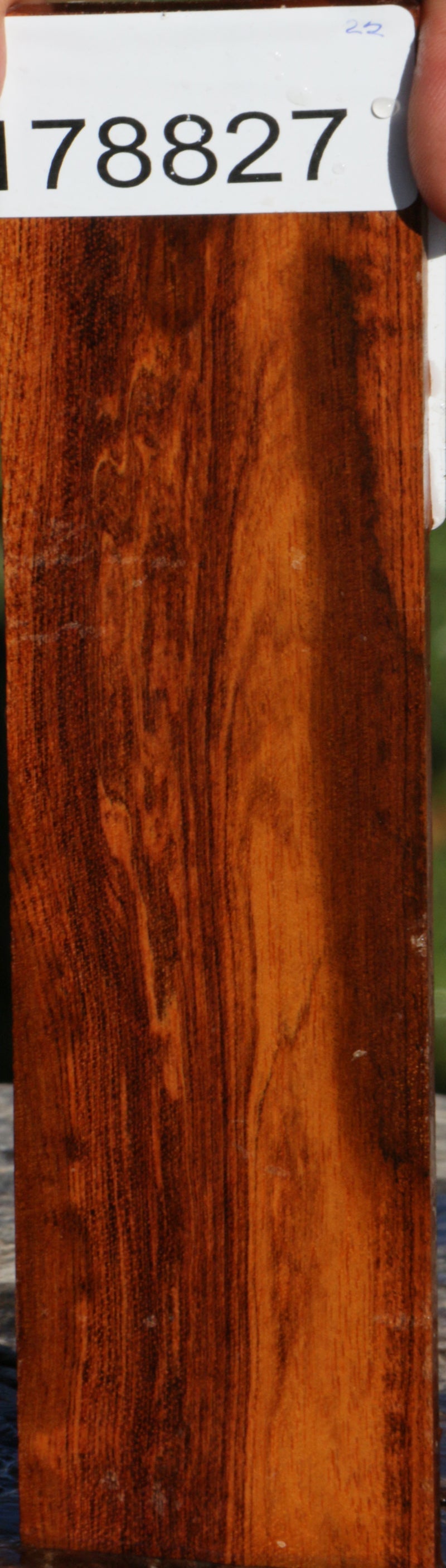 Snakewood Micro Lumber – Cook Woods