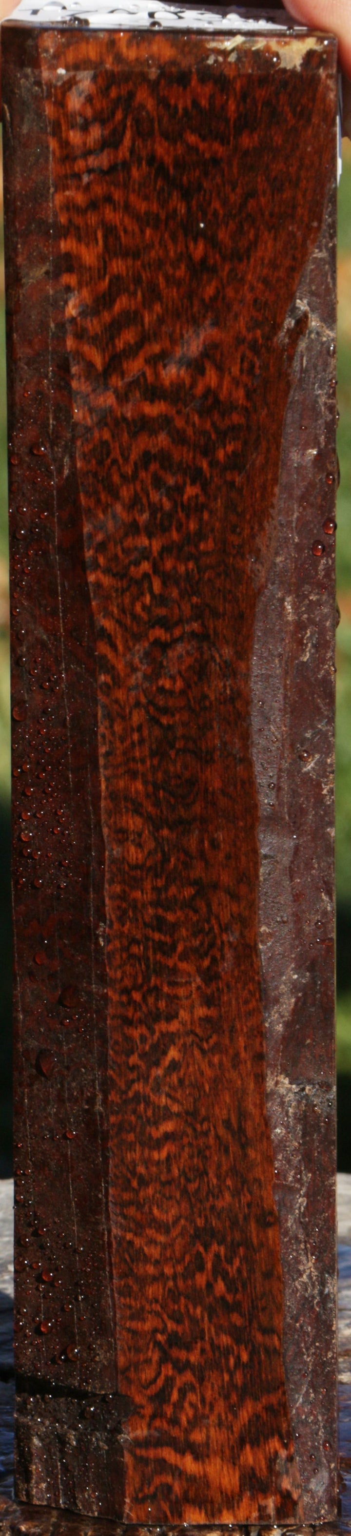 Snakewood – Cook Woods