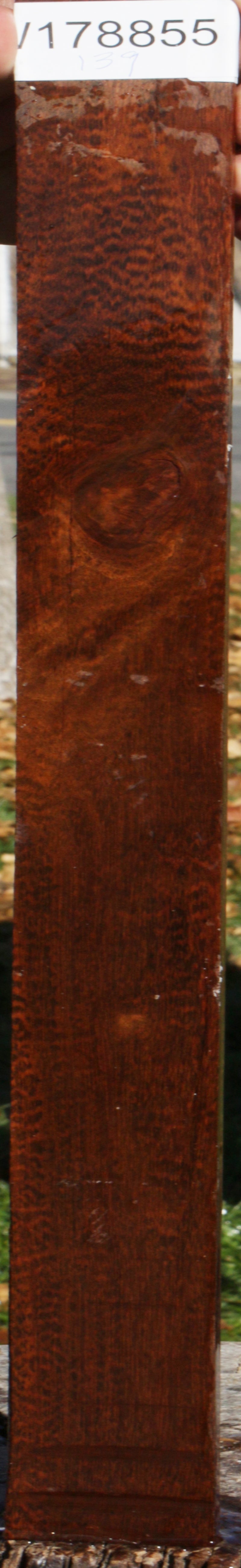 Snakewood – Cook Woods