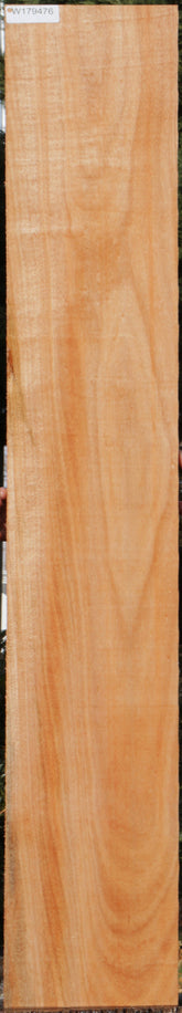 Okoume – Cook Woods