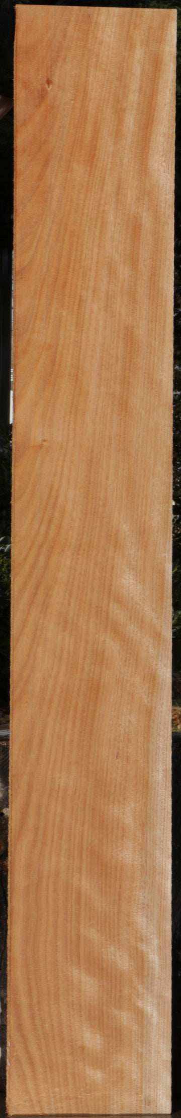 Okoume – Cook Woods