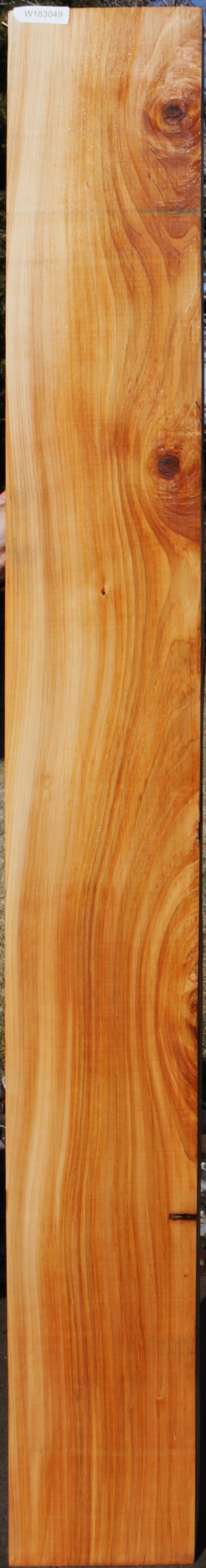 Western Red Cedar – Cook Woods