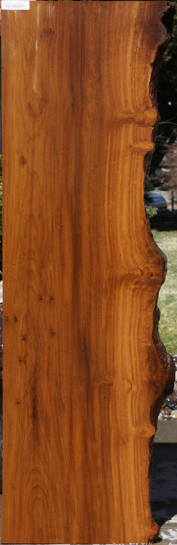 Imbuia – Cook Woods