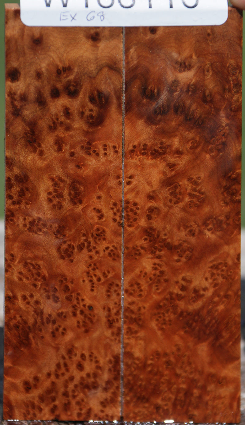 Thuya Burl – Cook Woods